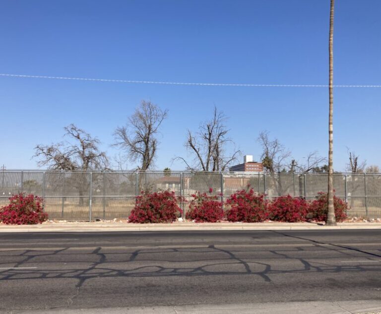 Arizona Behavioral Health Providers Association